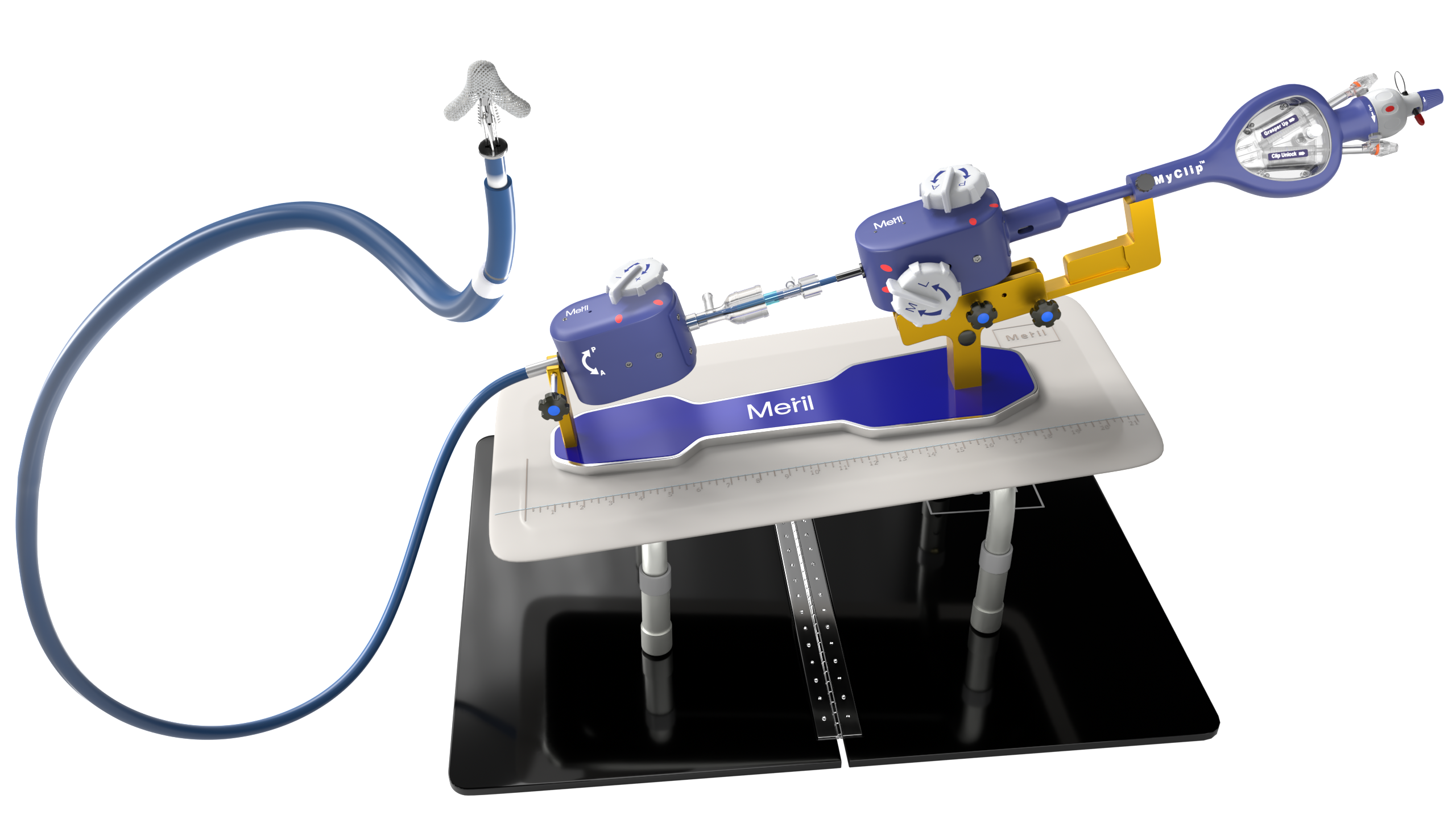 MyClip™ TEER (Transcatheter Edge-to-Edge Repair) System